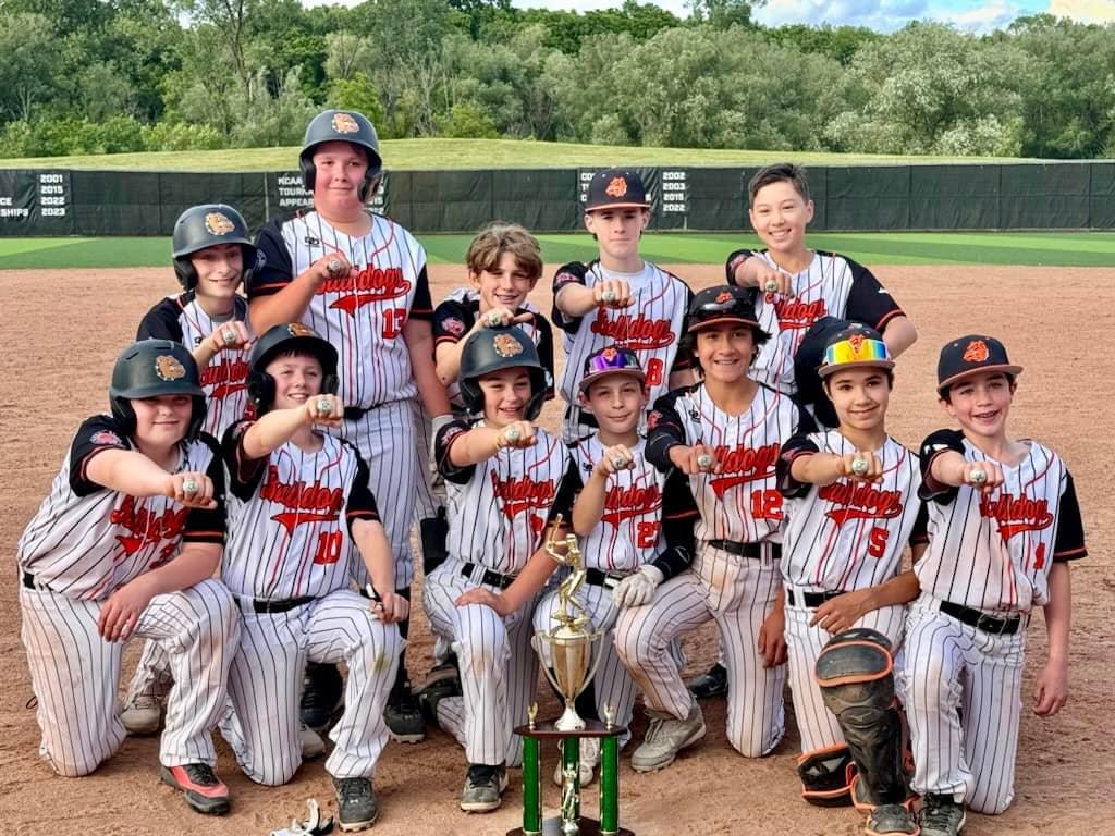 Troy Bulldogs Baseball