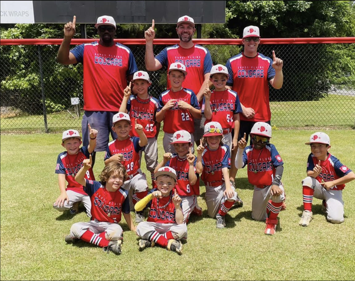Sandy Plains Baseball Association