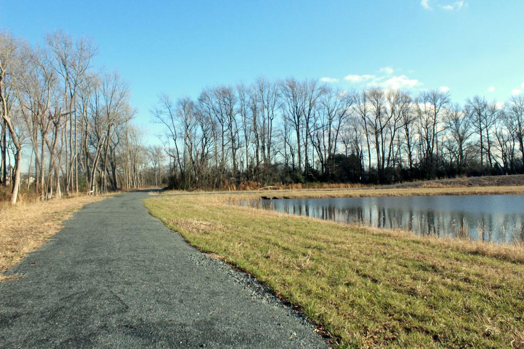 | Photos | Sandhill Fields