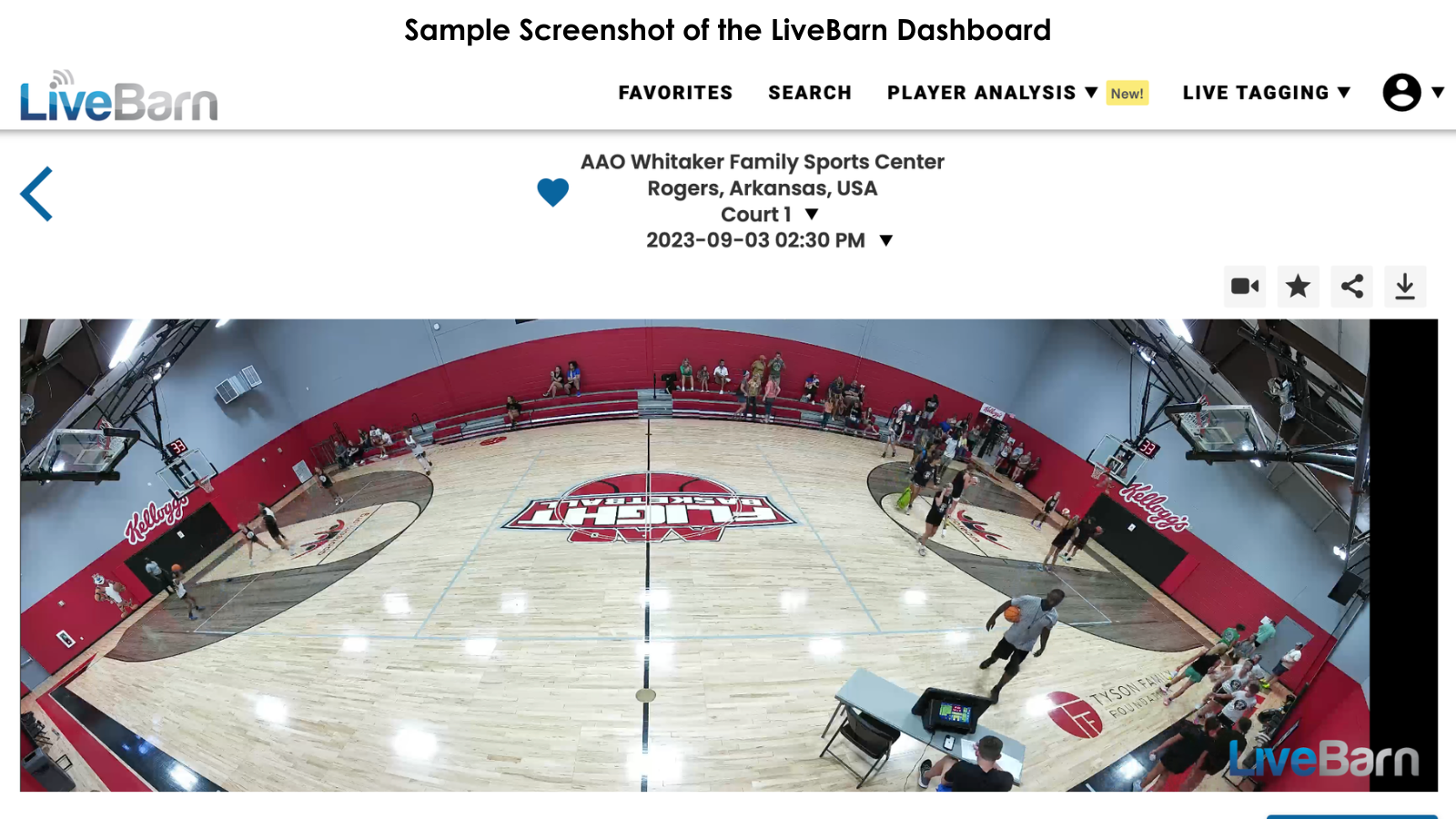 LiveBarn Live Streaming at AAO