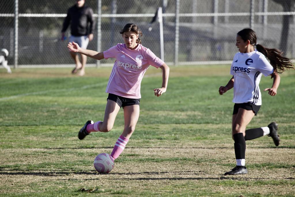 Recreational League Registration