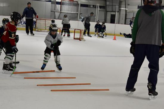 Rosemount Area Hockey Association