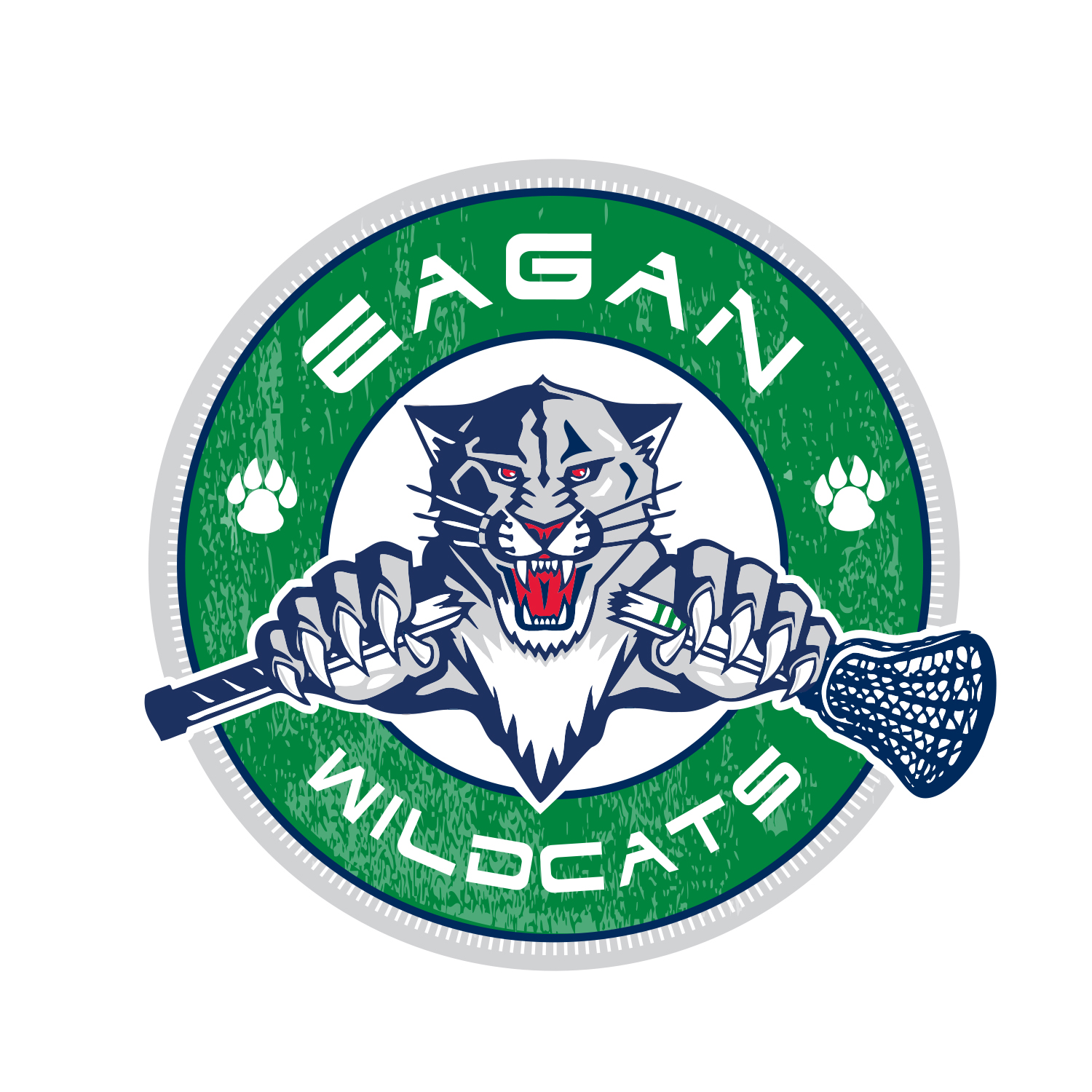 Eagan Lacrosse Images
