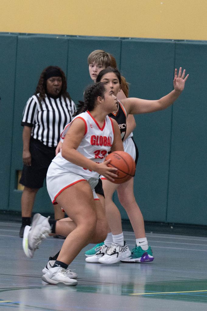 Girls Basketball Tournament DMV Challenge Divas of the Court June 10 ...