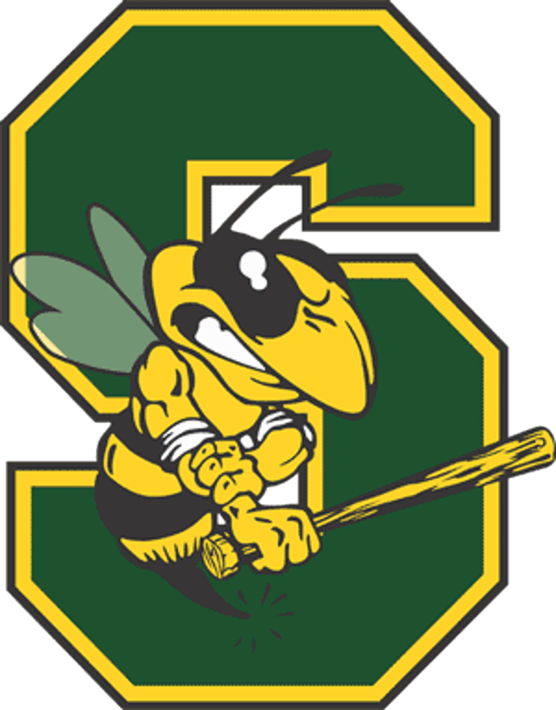 Sting Baseball Club (JH)