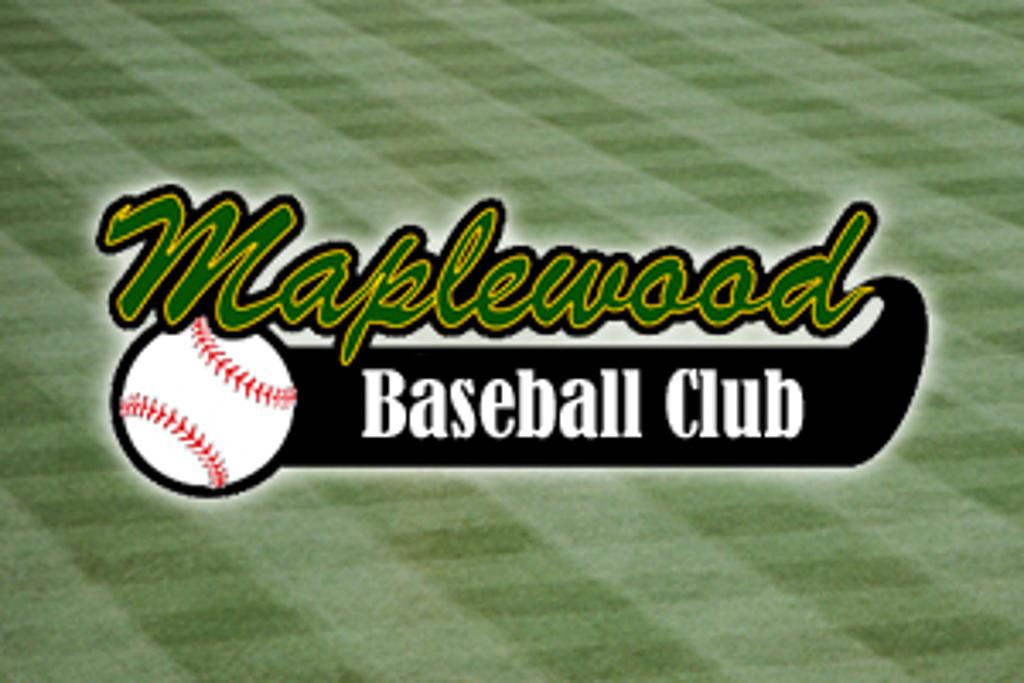 All Playoff Tournament Team - 10u Silver