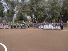 Shasta Cal Ripken Baseball