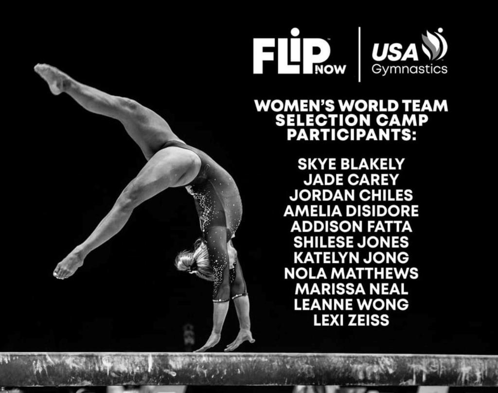 2022 World Championship | Photos | Twin City Twisters Gymnastics