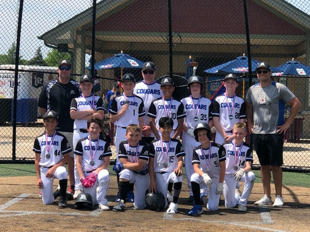 13U Carol Stream Cougar Baseball