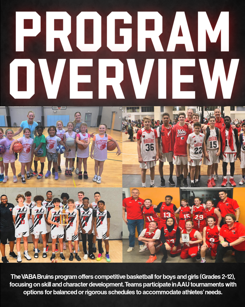 Bruins AAU Program