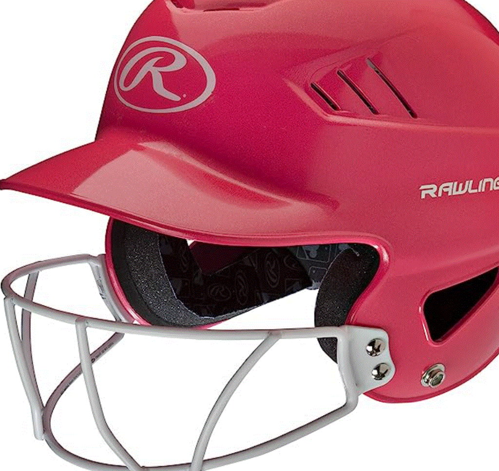 Fastpitch Softball Equipment