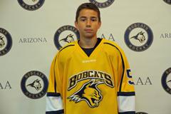 Valley of the Sun Hockey Association