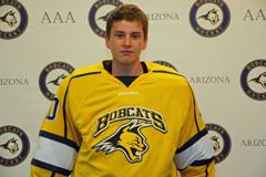 Valley of the Sun Hockey Association