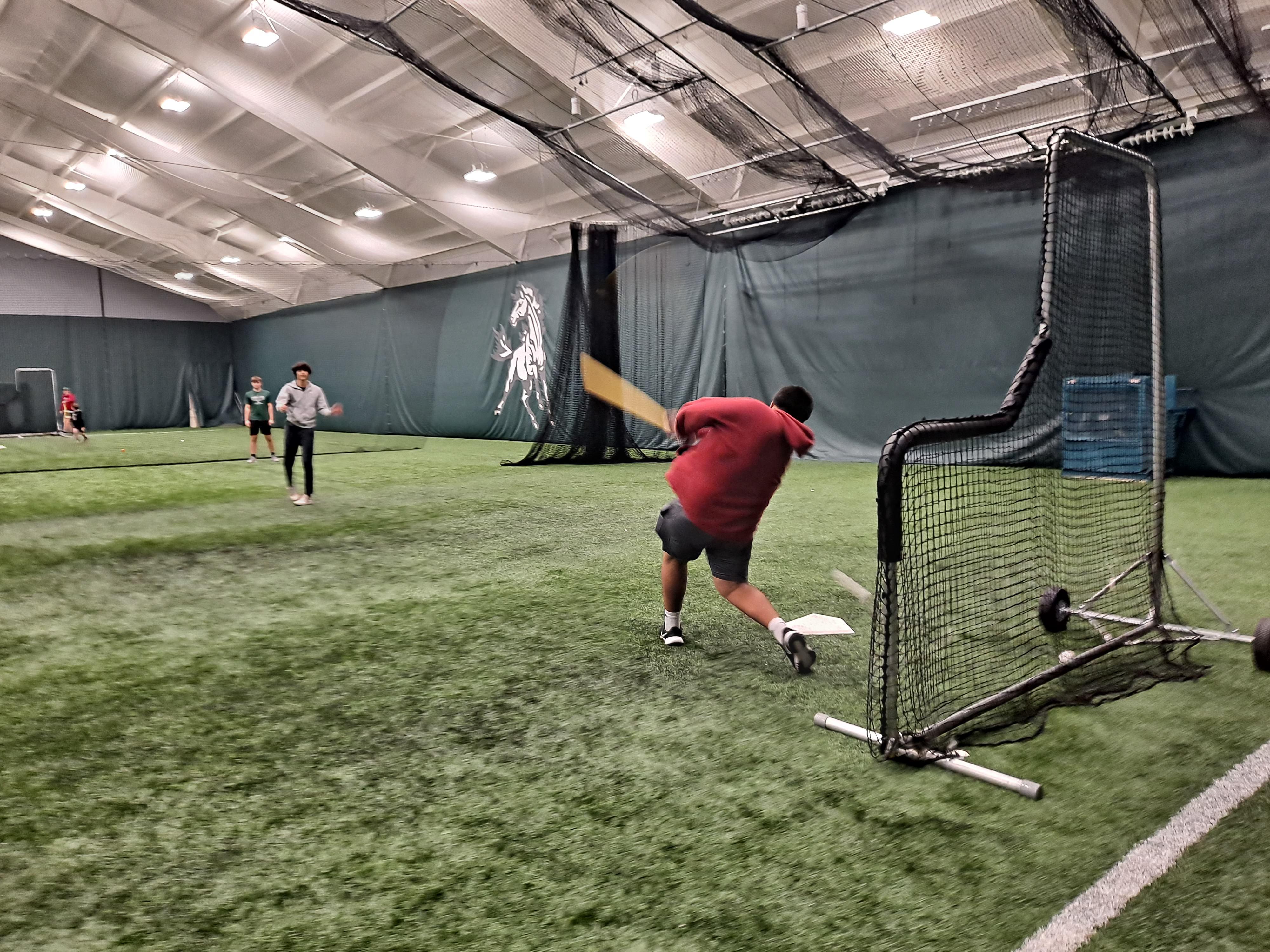 Mustang Baseball Academy