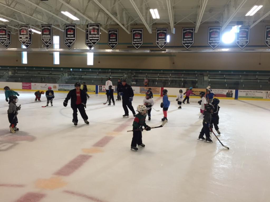 OMGHA Try Hockey for Free! Play Hockey for Free!