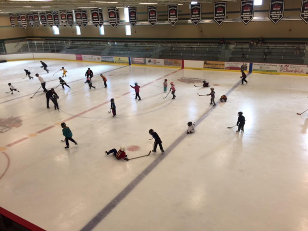 OMGHA Try Hockey for Free! Play Hockey for Free!