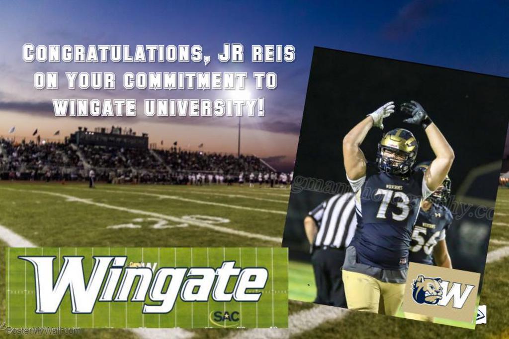 Next Level Wolverines