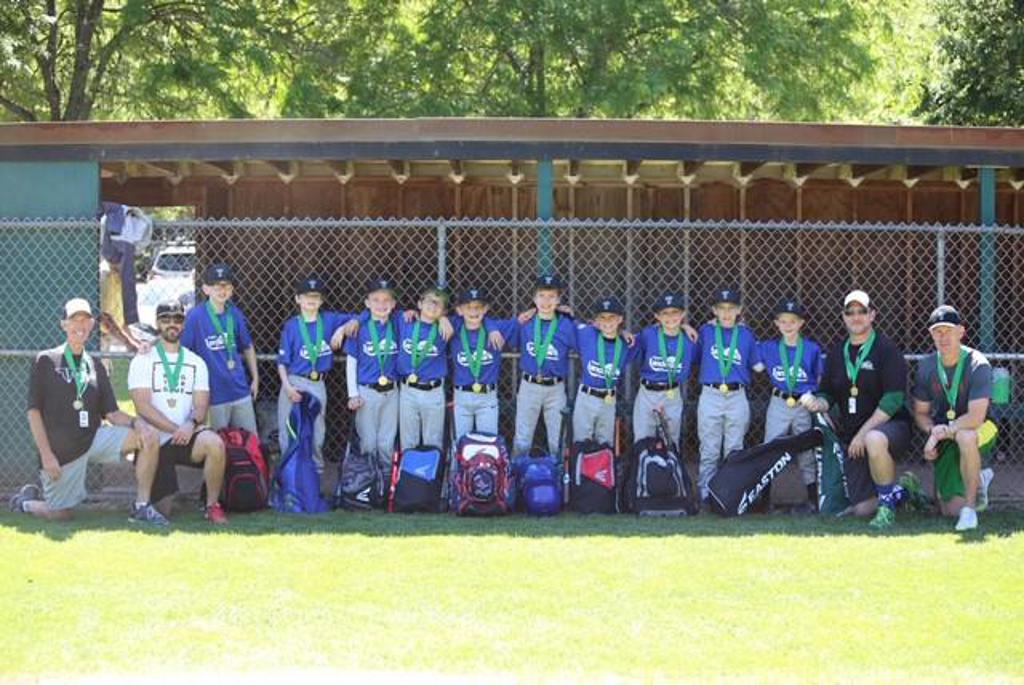 2019 Baseball Tigard Little League Champions
