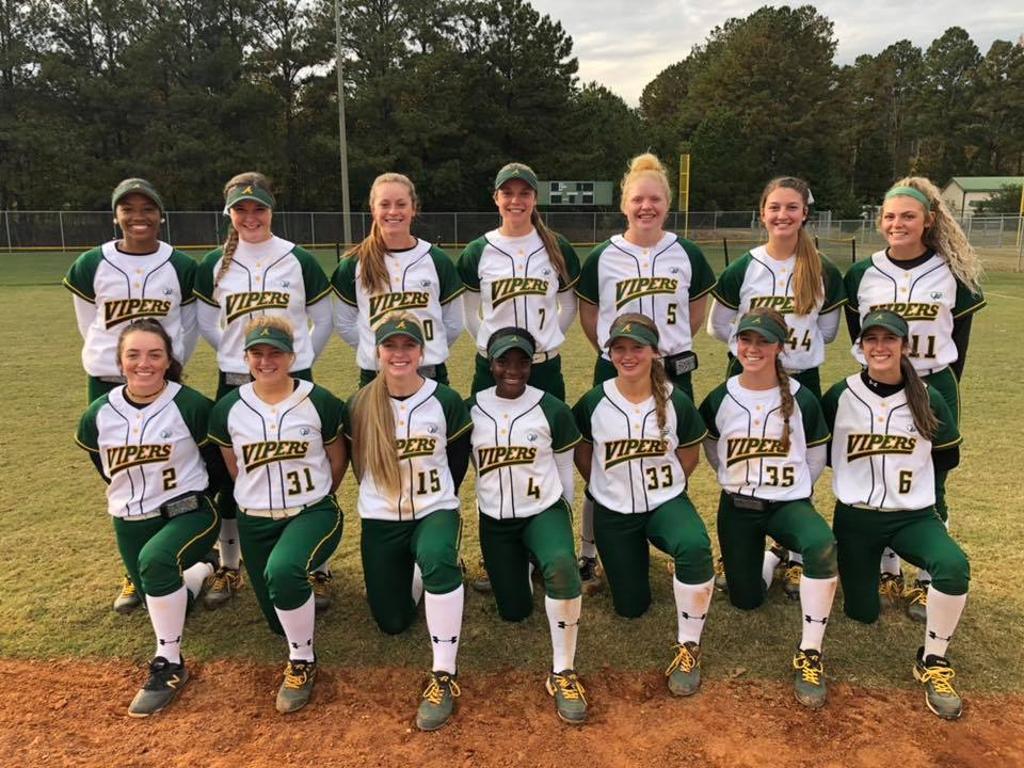 About the Atlanta Vipers