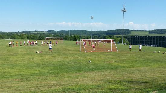 Multi-Purpose Field #1