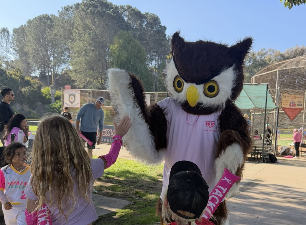 Tecolote Youth Baseball