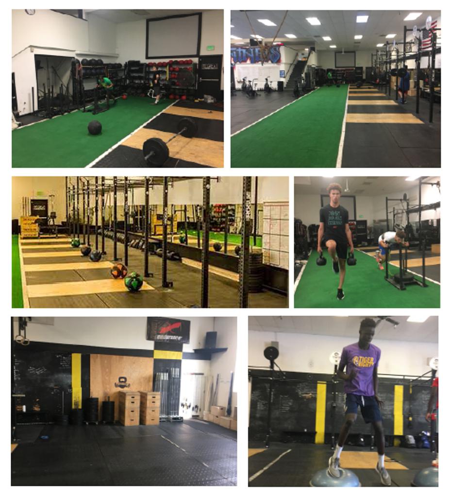 Prolific Summer Academy