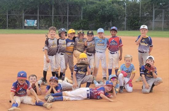 Pinellas County Youth Baseball