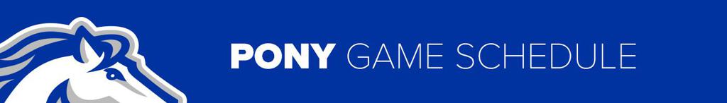 PonyDivision (Ages 13-14)