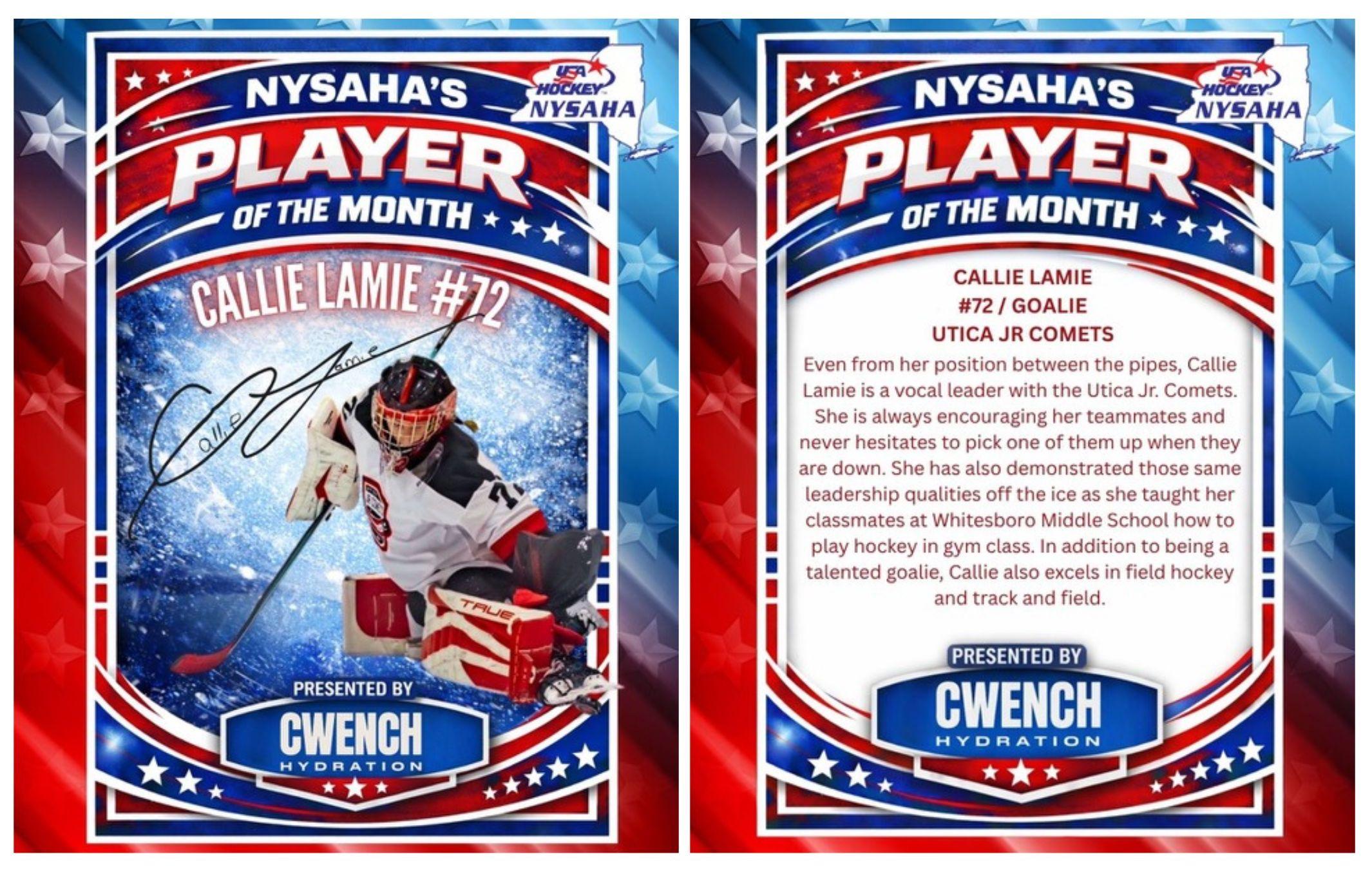New York State Amateur Hockey Association