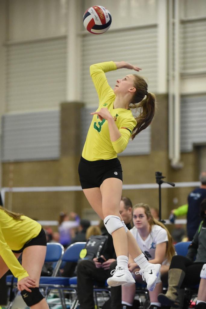 Welcome to the 2025 Summer Rust Buster Clinics by Team Pineapple | 2025 ...