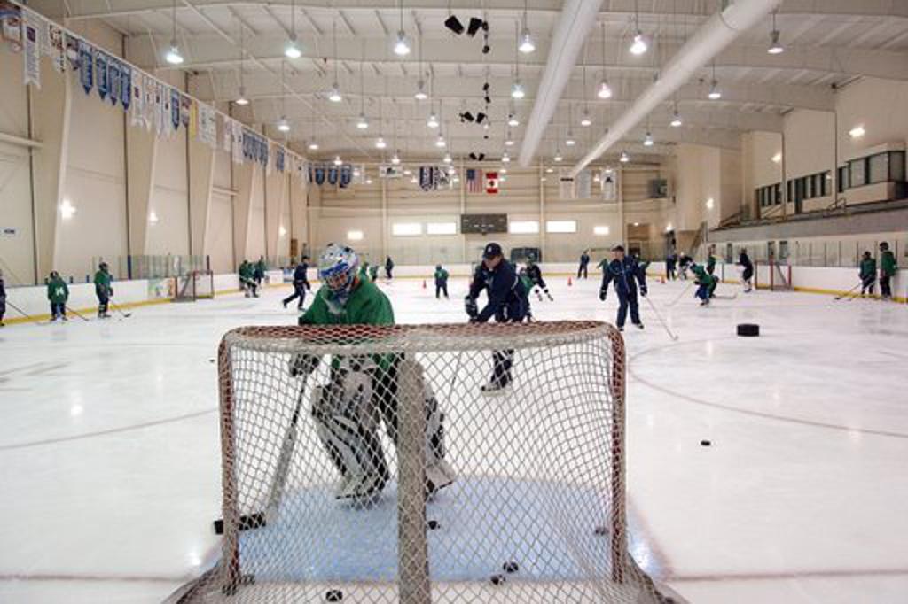 Southeast Elite Hockey Training & Player Development