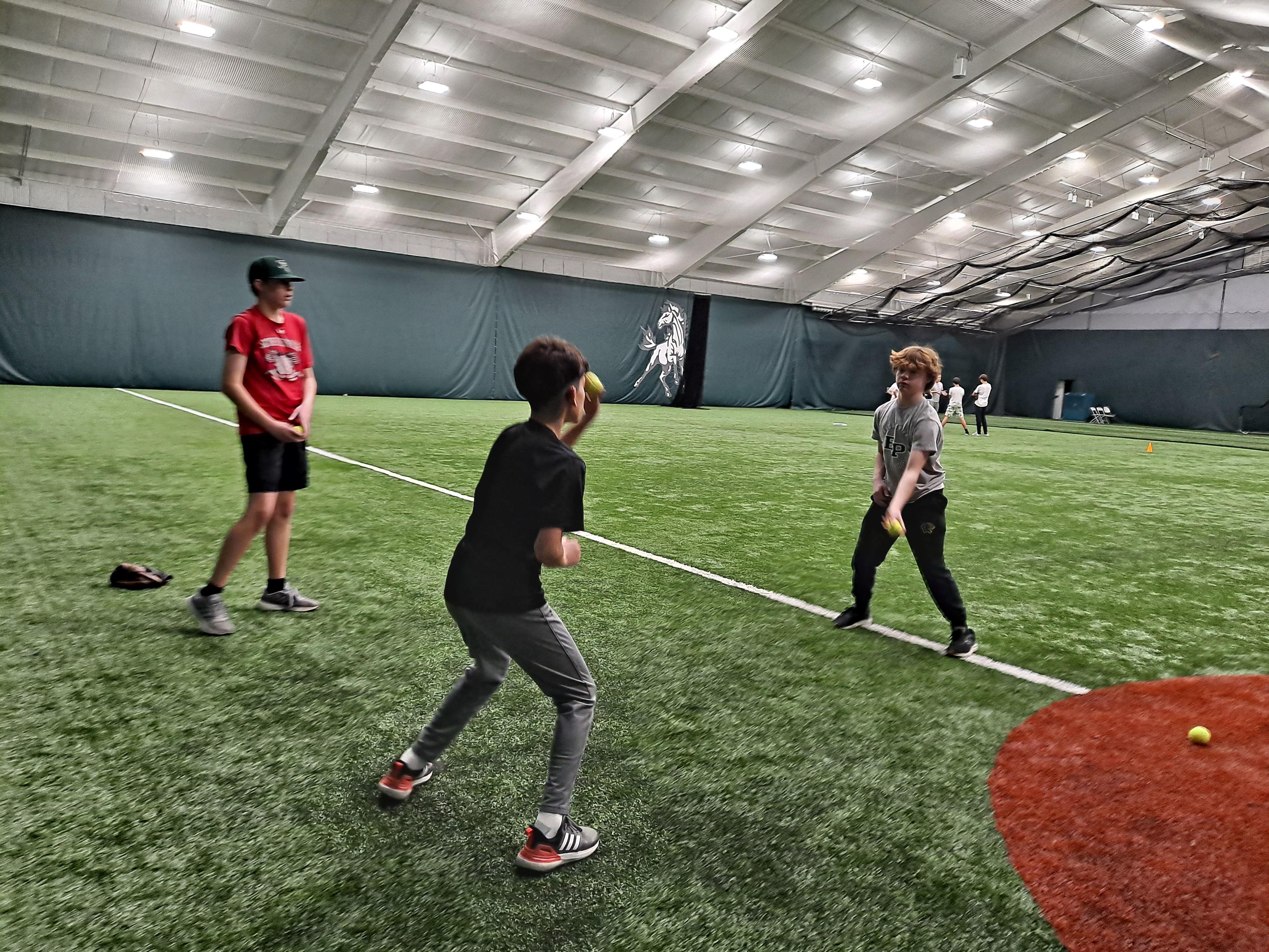 Mustang Baseball Academy