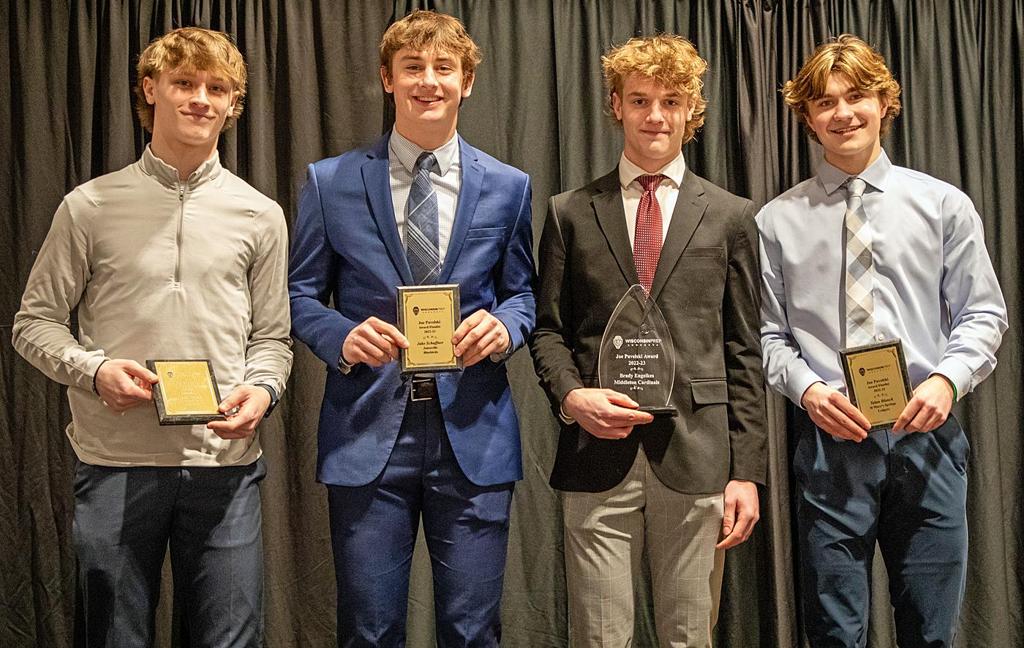 2023 Wisconsin Prep Hockey Awards