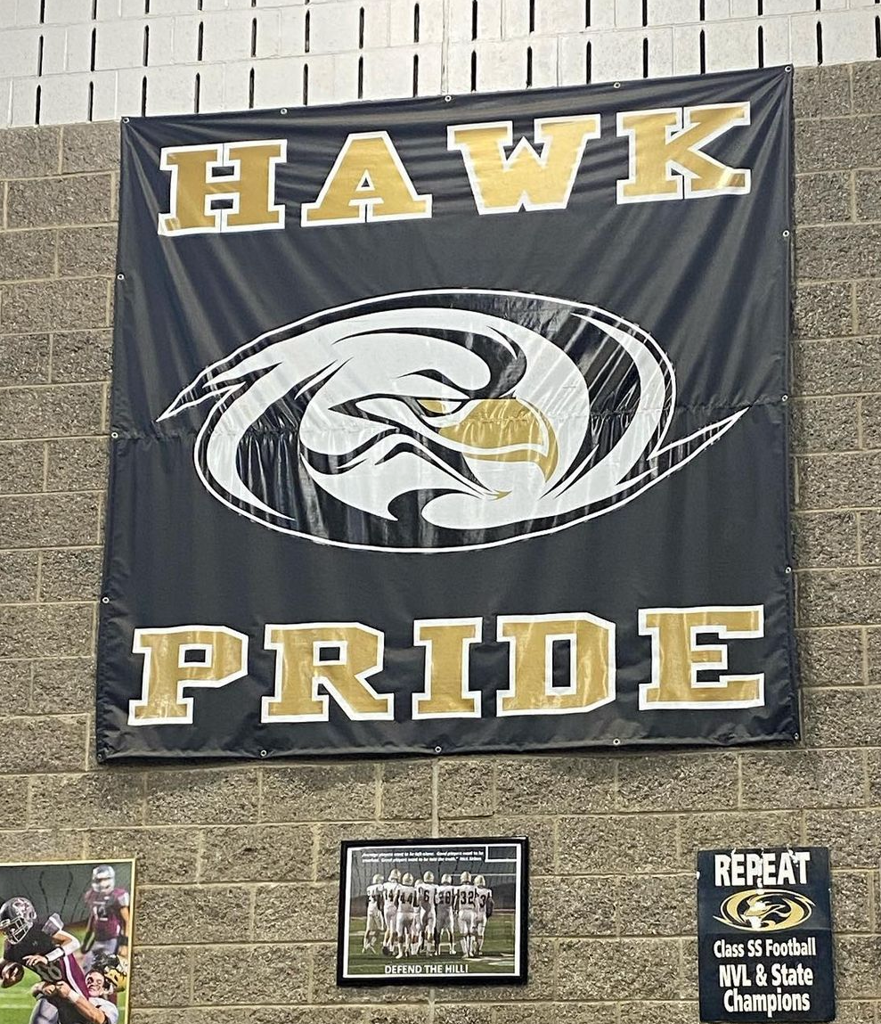 Woodlands Hawks Football