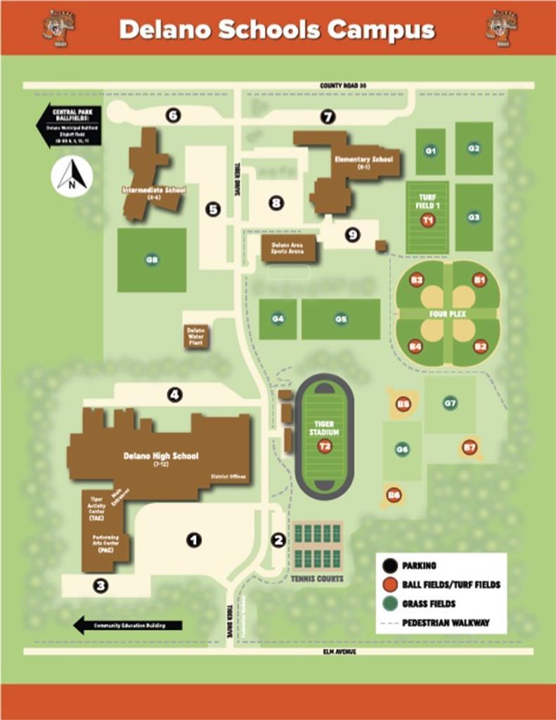 Association Field Maps