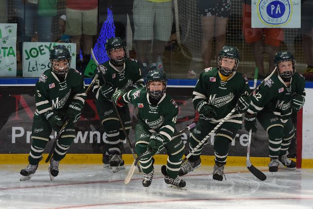 Team Minnesota Announced for 2016 Brick