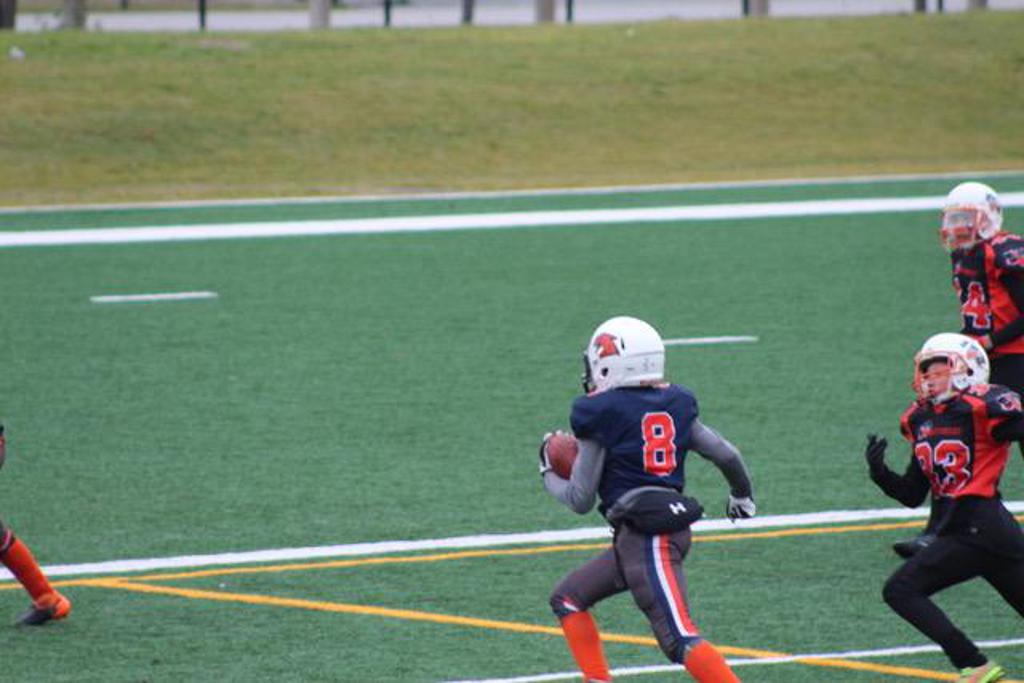 Calgary Wildcats Football