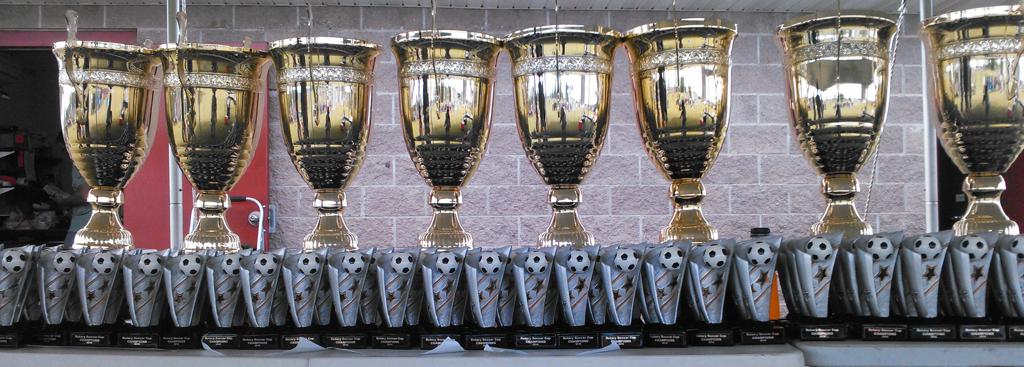 In The Hunt For The Rotary Travelling Cup