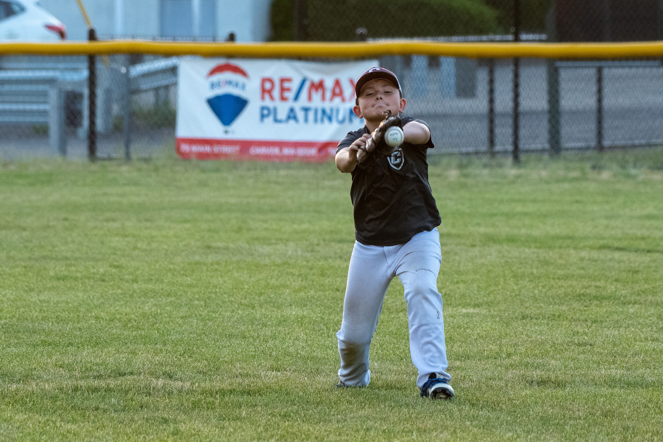 Carver Cranberry Baseball League