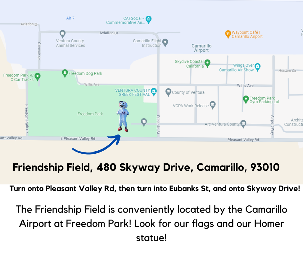 The Friendship Field