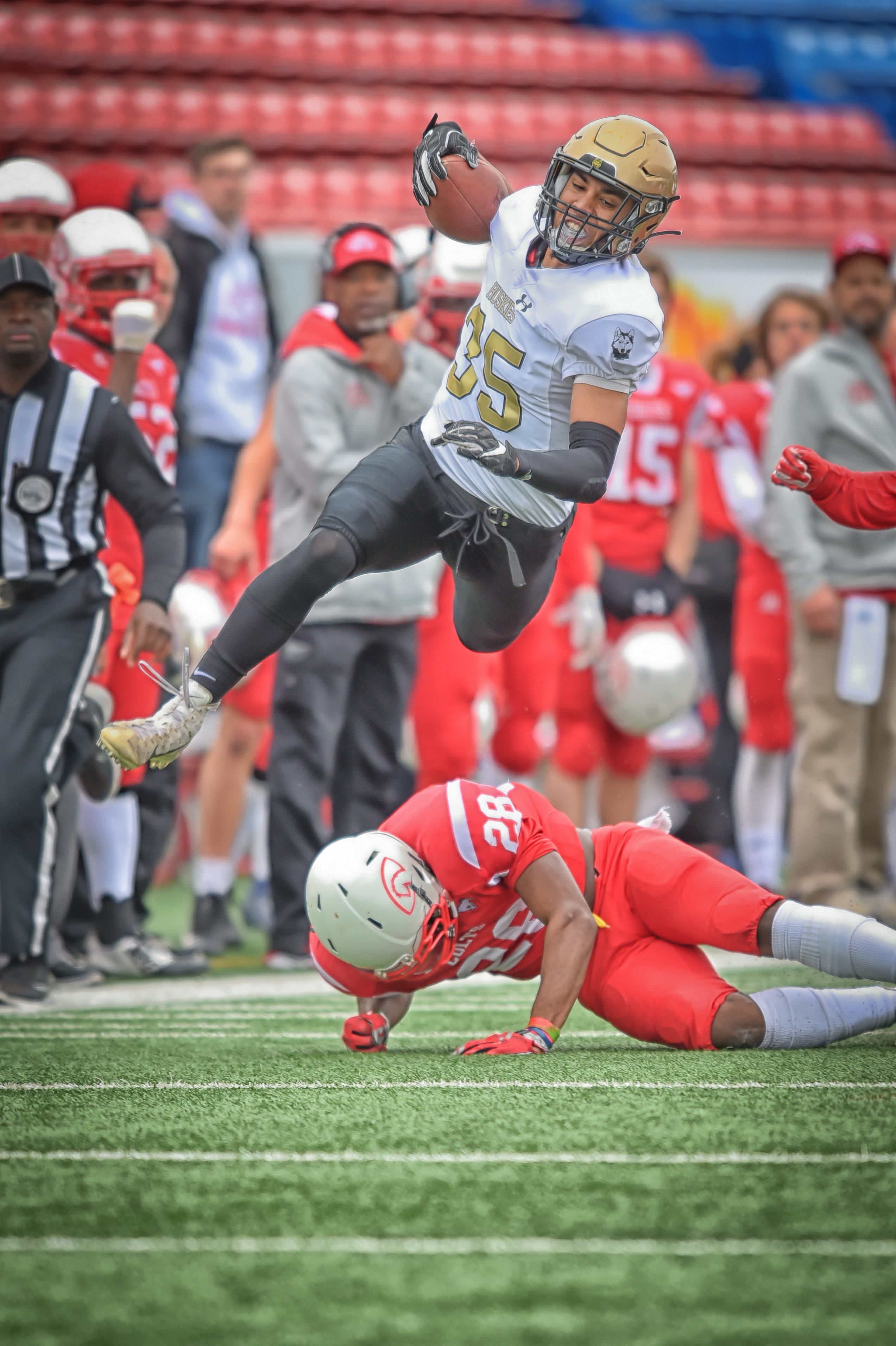 CJFL Year In Pictures