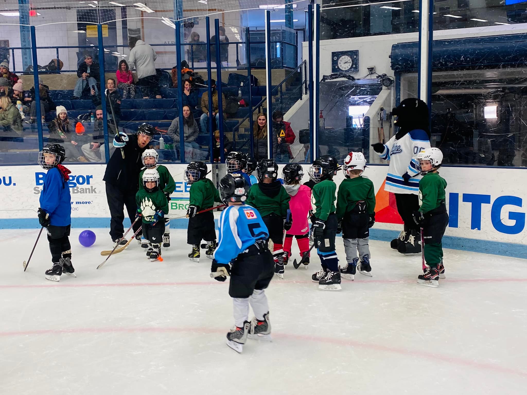 Learn to Skate and Play