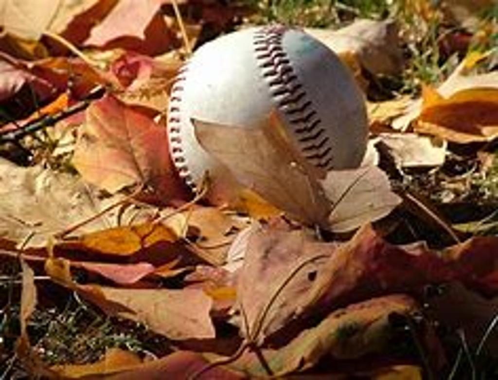 Fall Baseball