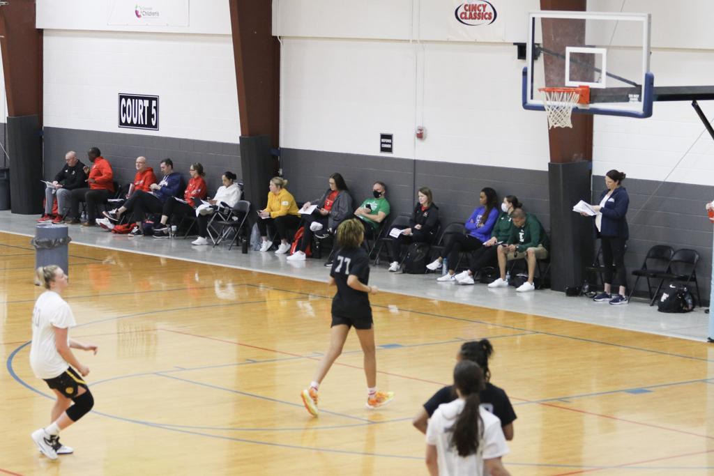 She Hoops Basketball