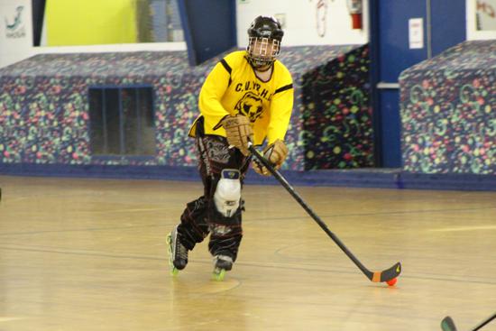 Richmond Roller Hockey League