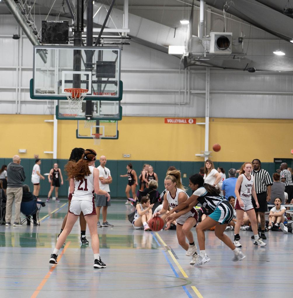 Girls Basketball Tournament DMV Challenge Divas of the Court June 10 ...