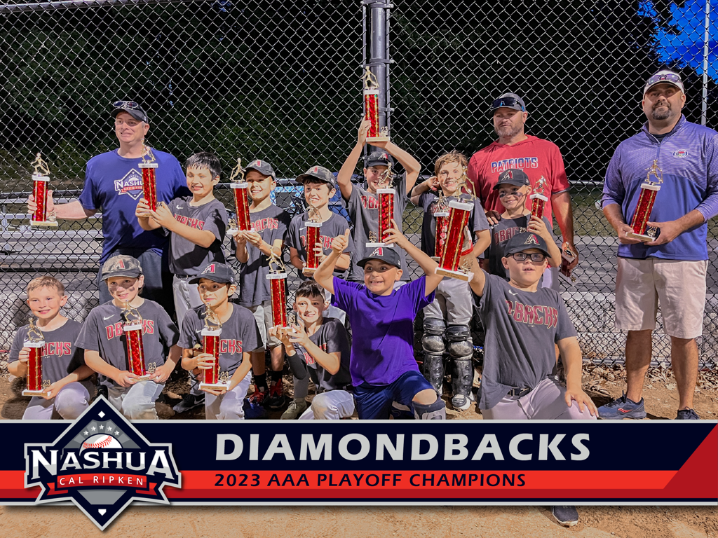 2023 AAA Champions - Congrats Diamondbacks