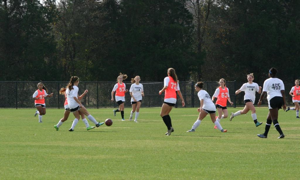 Olympic Development Program