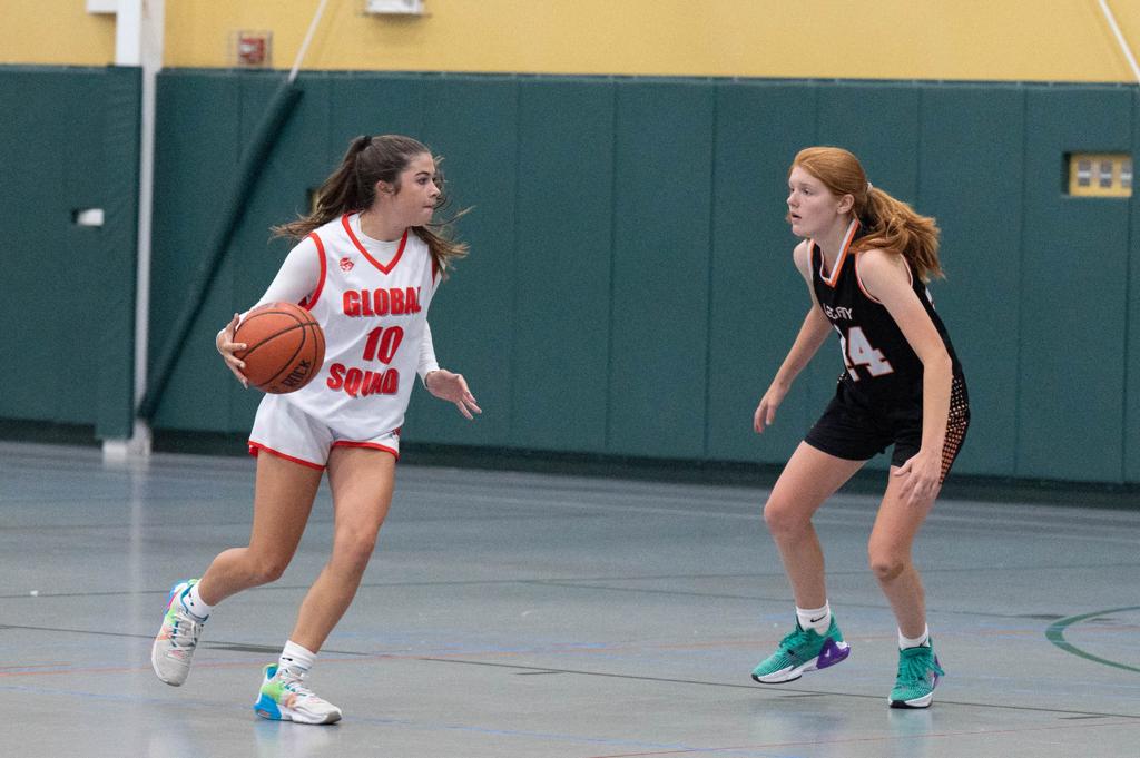 Girls Basketball Tournament DMV Challenge Divas of the Court June 10 ...