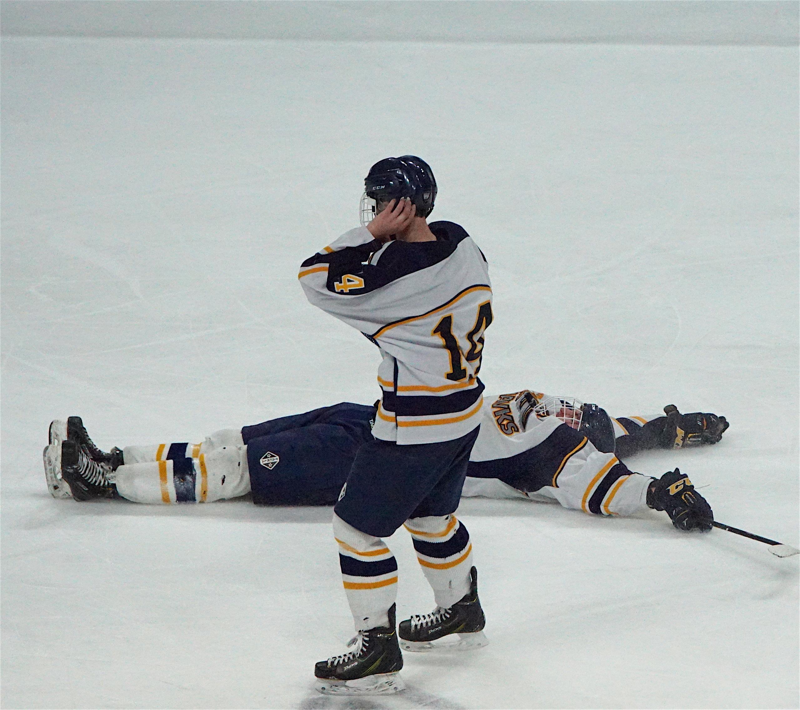 Hawks Repeat as State Champs